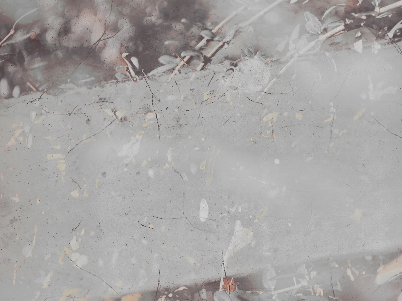 egotrash.photography and graphic-design